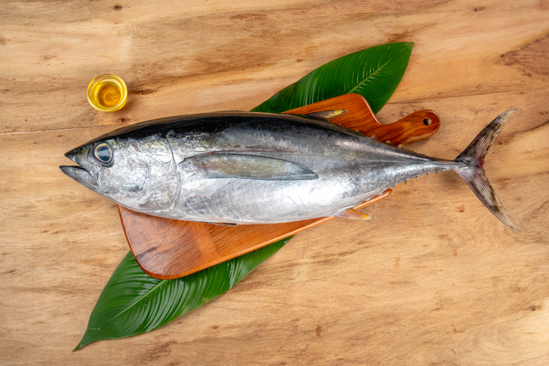 Tuna.lk - Shop Fresh Fish & Seafood | Online Order | Free Delivery