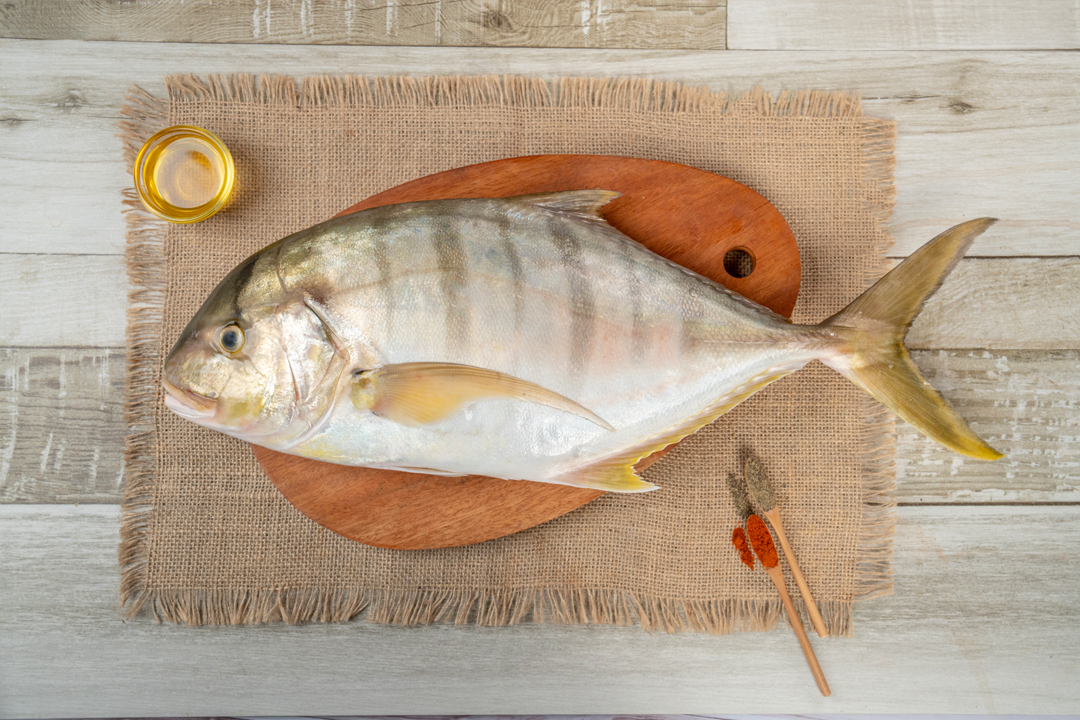 Tuna.lk - Shop Fresh Fish & Seafood | Online Order | Free Delivery