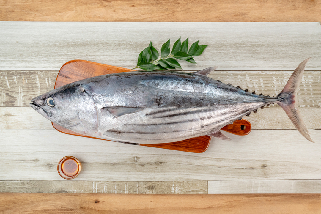 Tuna.lk - Shop Fresh Fish & Seafood | Online Order | Free Delivery