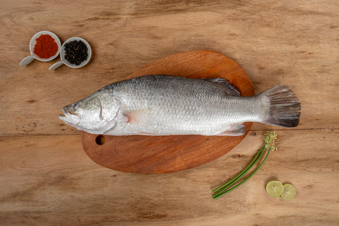 Tuna.lk - Shop Fresh Fish & Seafood | Online Order | Free Delivery