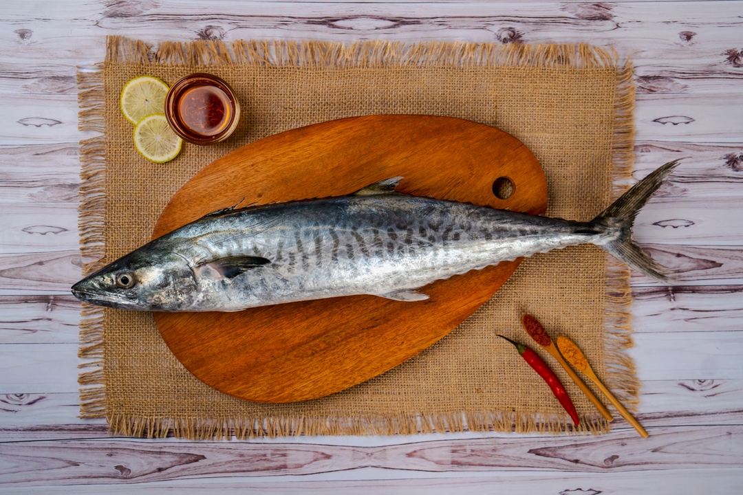 Tuna.lk - Shop Fresh Fish & Seafood | Online Order | Free Delivery