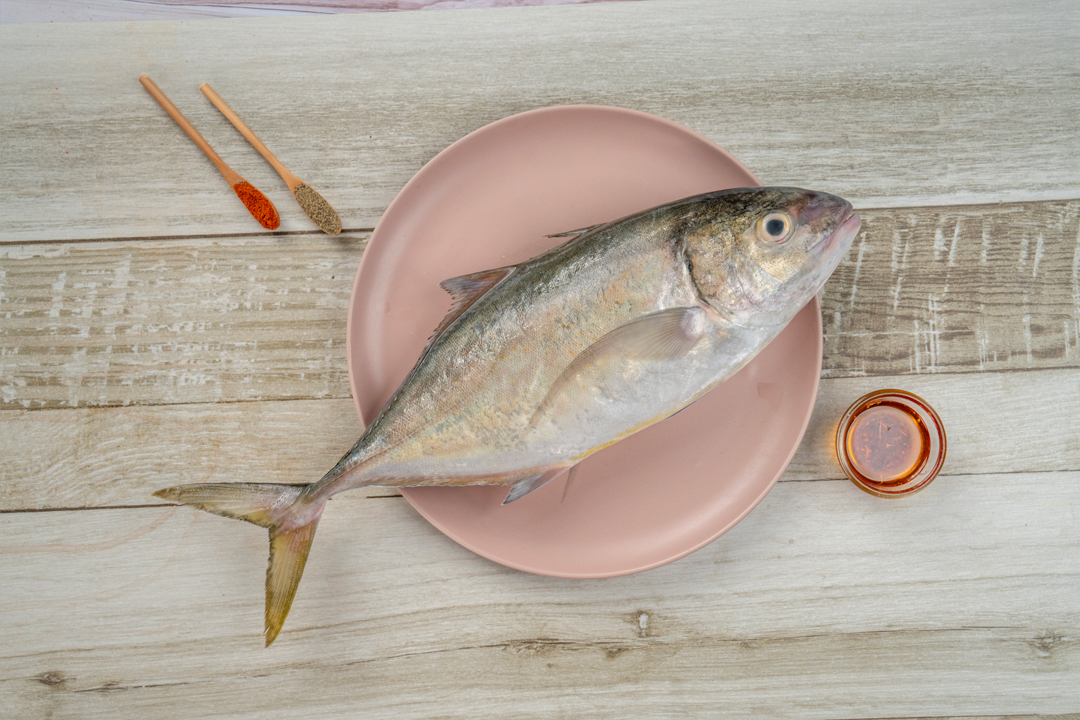 Tuna.lk - Shop Fresh Fish & Seafood | Online Order | Free Delivery