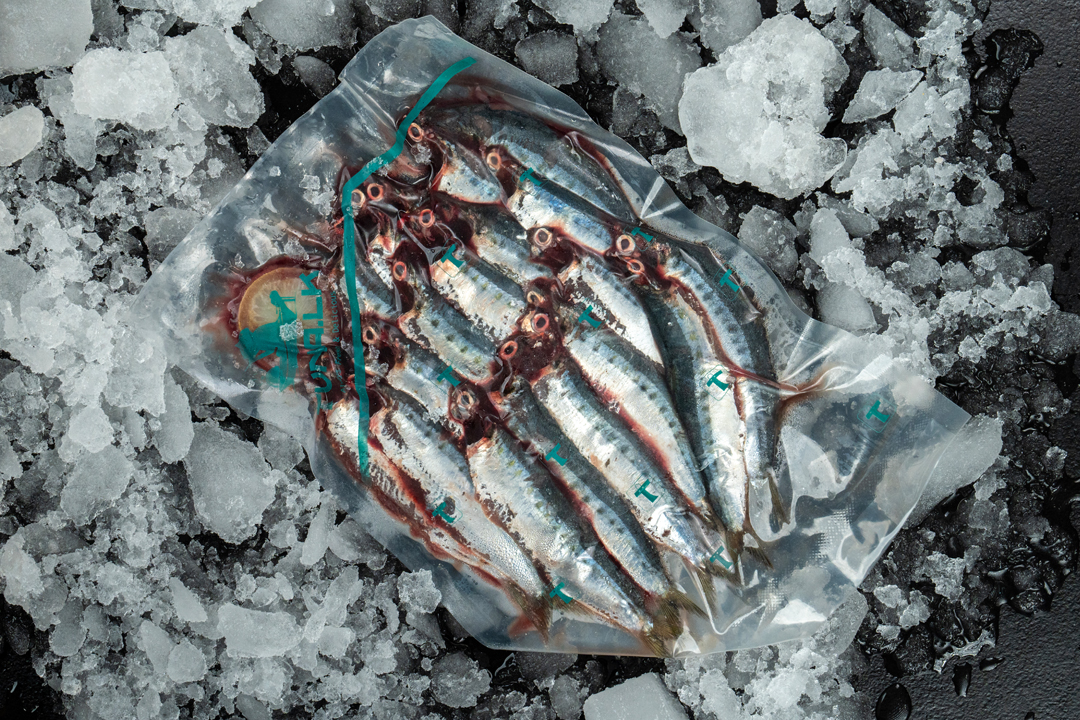 Tuna.lk - Shop Fresh Fish & Seafood | Online Order | Free Delivery