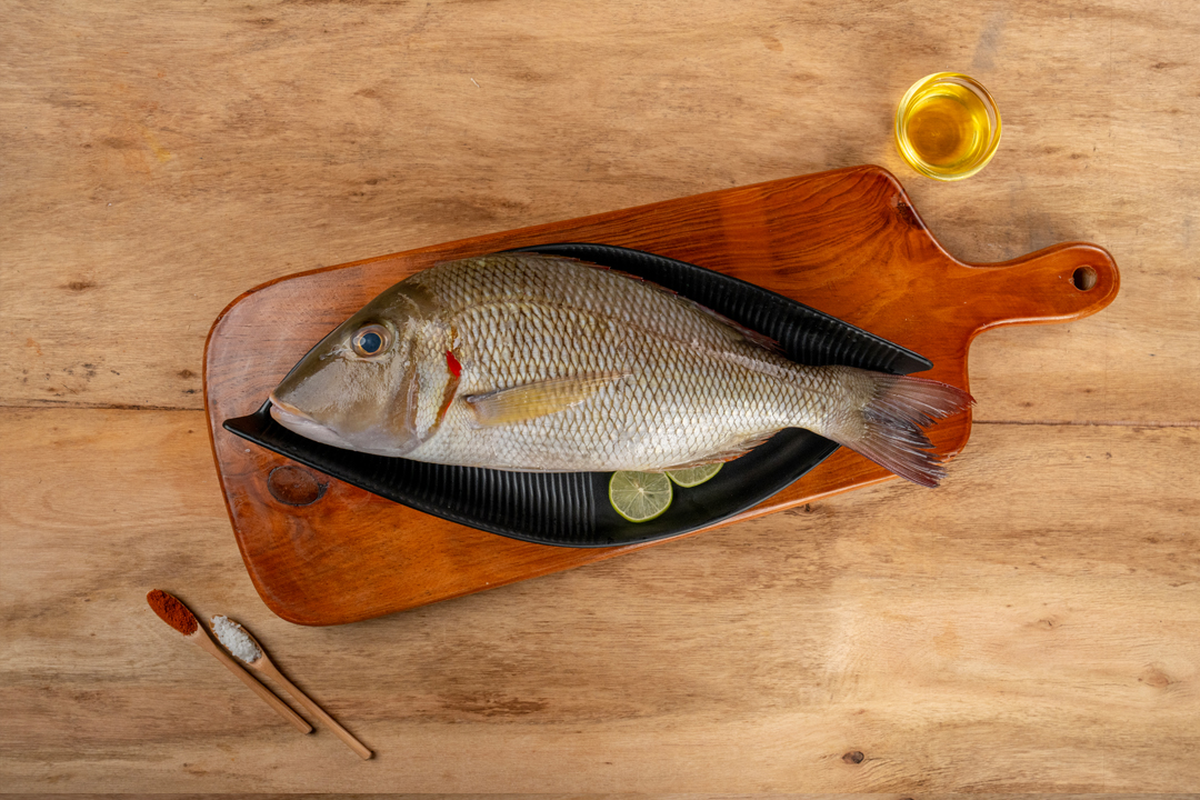 Tuna.lk - Shop Fresh Fish & Seafood | Online Order | Free Delivery