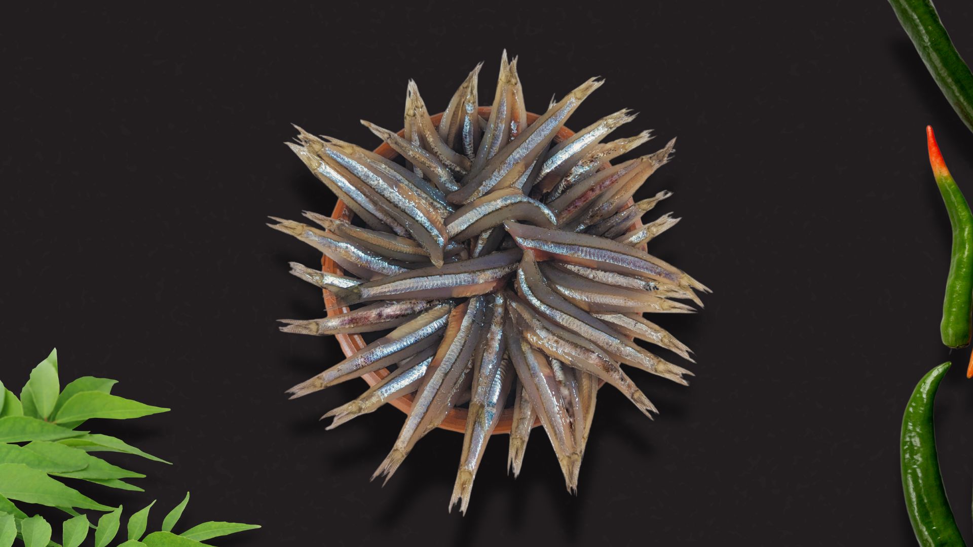 Tuna.lk - Shop Fresh Fish & Seafood | Online Order | Free Delivery